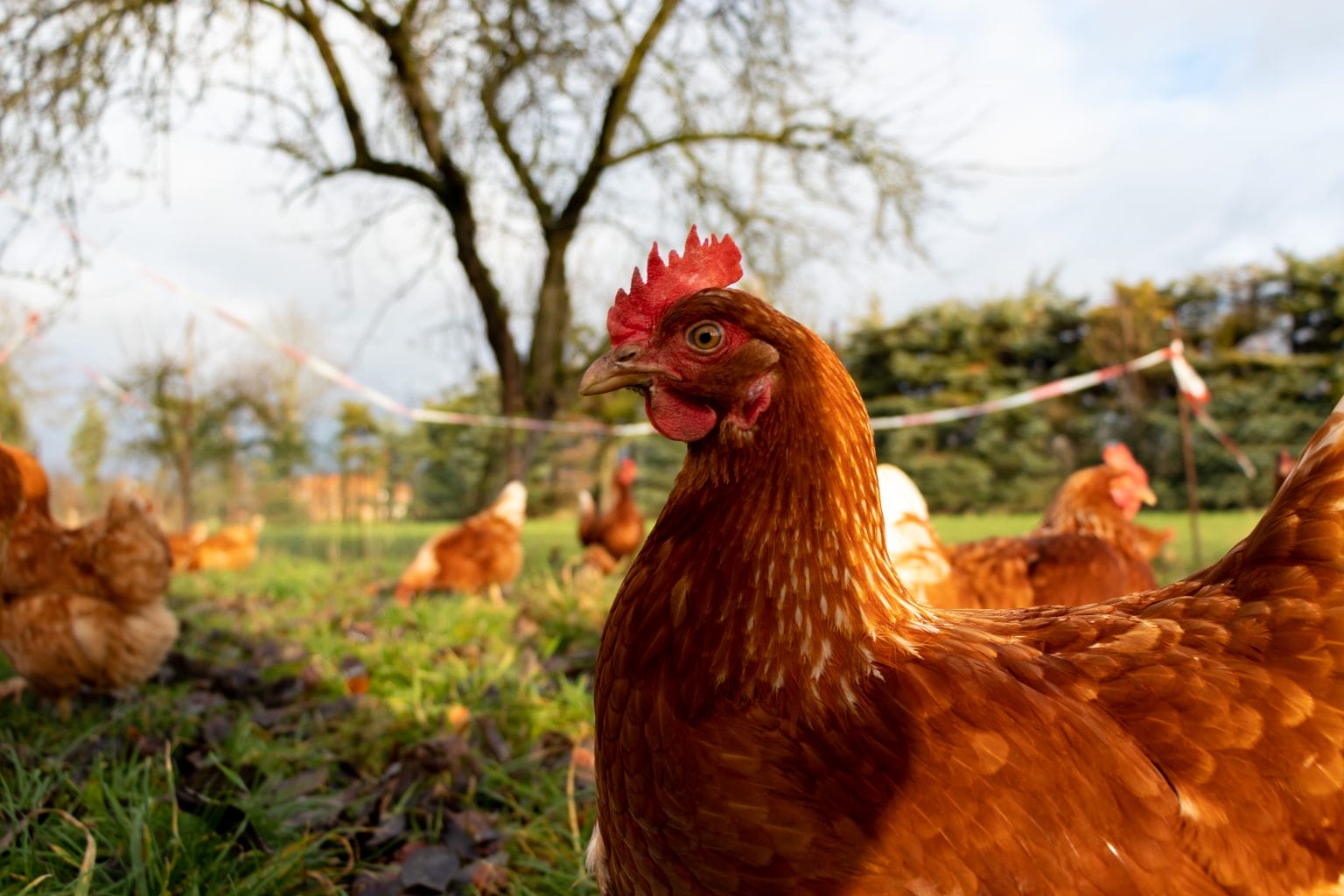 16 Life Lessons from Fairy Tales We Shouldn't Forget